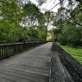 Lake Johnson West Loop Trail, North Carolina - 916 Reviews, Map | AllTrails