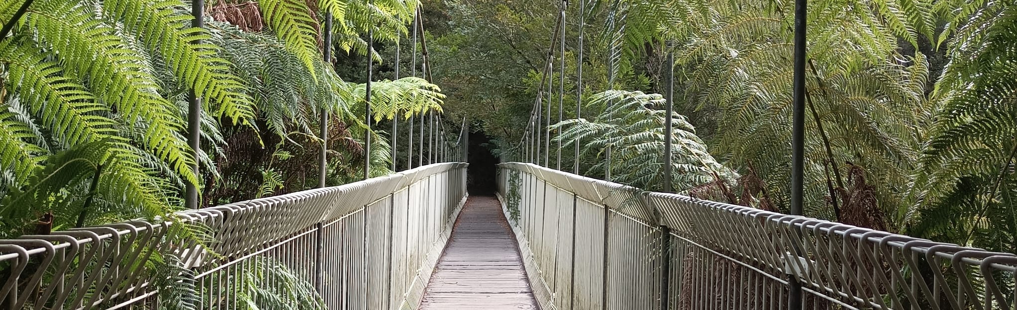 Corrigan Suspension Bridge Loop: 214 foto's - Victoria, Australia ...