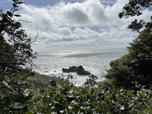 10 Best Trails and Hikes in Trinidad | AllTrails