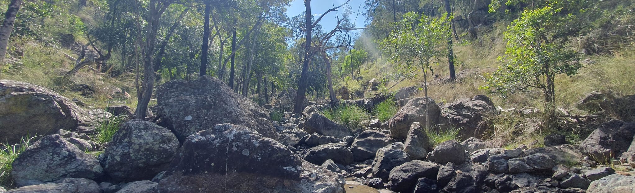 Ooline Creek, 19 Fotos - Queensland, Australia | AllTrails