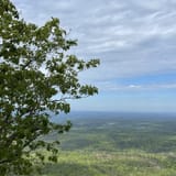 Pinhoti Trail: Adam's Gap to Cheaha State Park, Alabama - 133 Reviews ...