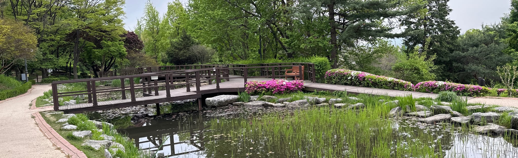 Namsan Loop: 276 bilder – Seoul, South Korea | AllTrails