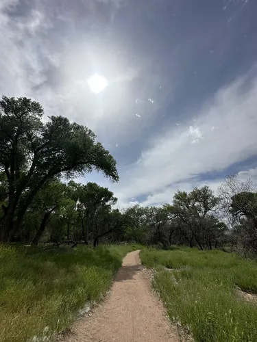 2023 Best 10 Trail Running Trails in Cottonwood | AllTrails