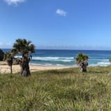 Palm Jungle Loop Track, New South Wales, Australia - 339 Reviews, Map ...