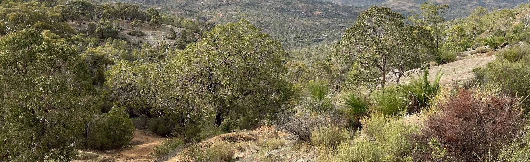 Echidna Loop, Western Australia, Australia - 129 Reviews, Map | AllTrails