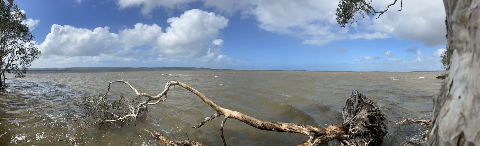 Mill Point Circuit, Queensland, Australia - 23 Reviews, Map | AllTrails