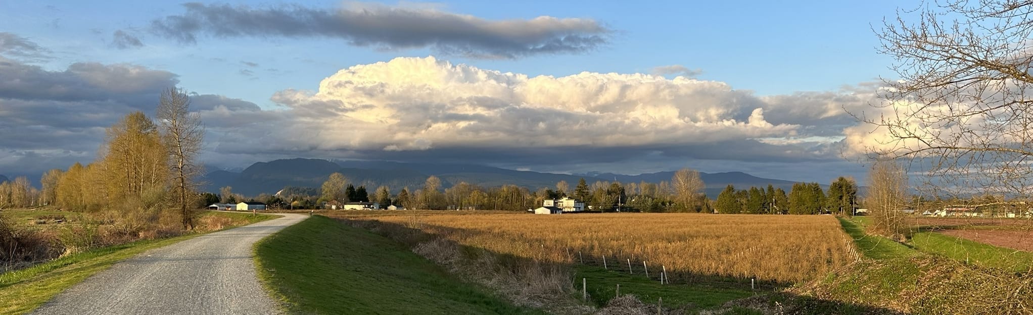 Trans Canada Trail: Pitt River from Alouette River Dyke, British ...