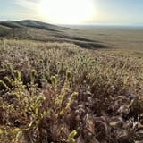 North Loop, Antelope Butte and Lightning Bolt Loop, California - 492 ...