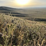 North Loop, Antelope Butte and Lightning Bolt Loop, California - 492 ...