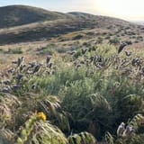 North Loop, Antelope Butte and Lightning Bolt Loop, California - 492 ...