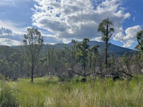 Best Hikes and Trails in Paddy Ranges State Park | AllTrails