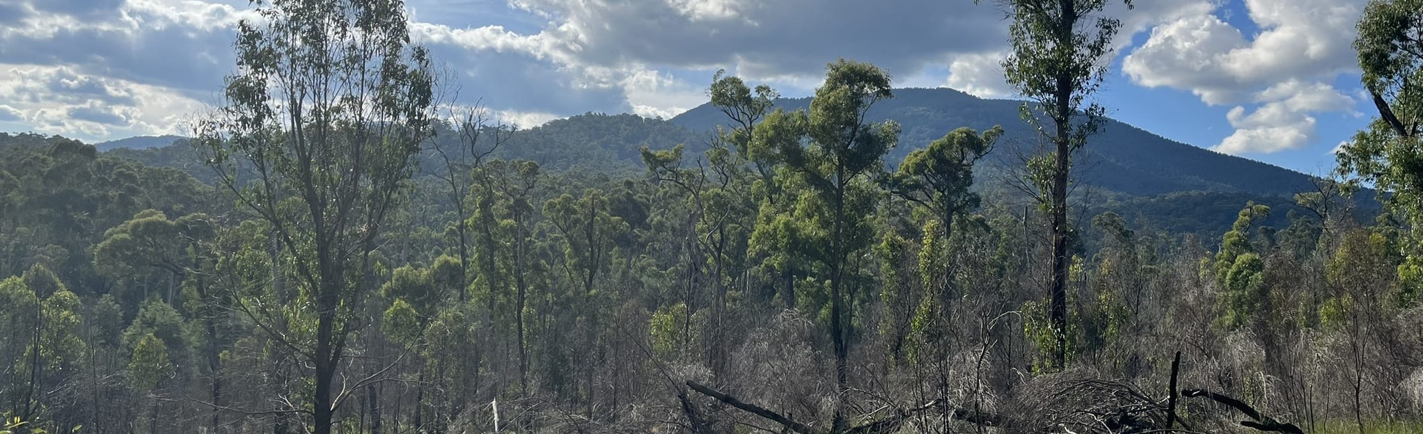 Donnelly's Weir and Maroondah Dam, Victoria, Australia - 265 Reviews ...