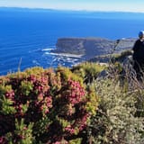 Shipsterns Bluff Loop, Tasmania, Australia - 81 Reviews, Map | AllTrails