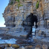 Shipsterns Bluff Loop, Tasmania, Australia - 81 Reviews, Map | AllTrails
