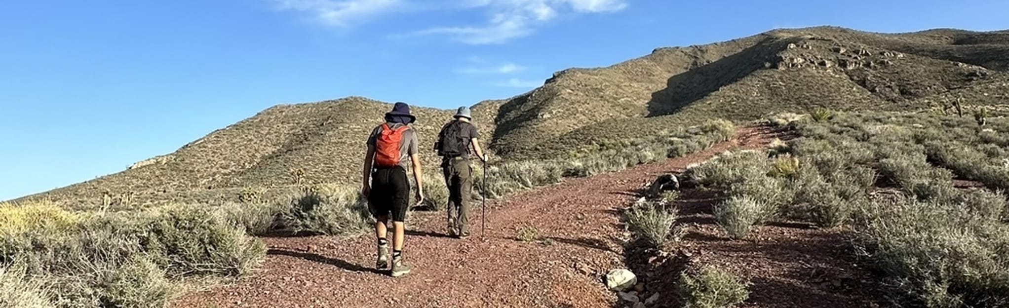 Gass Peak Trail: 187 Reviews, Map - Nevada | AllTrails