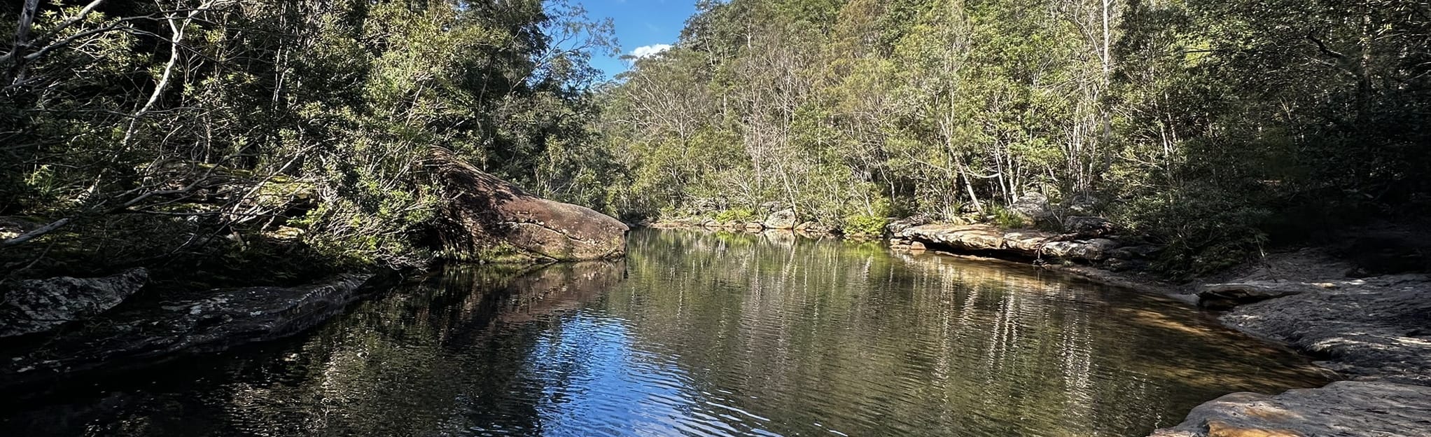 Sassafras Gully, Victory Track, and Magdala Gully Loop: 971 Zdjęcia ...
