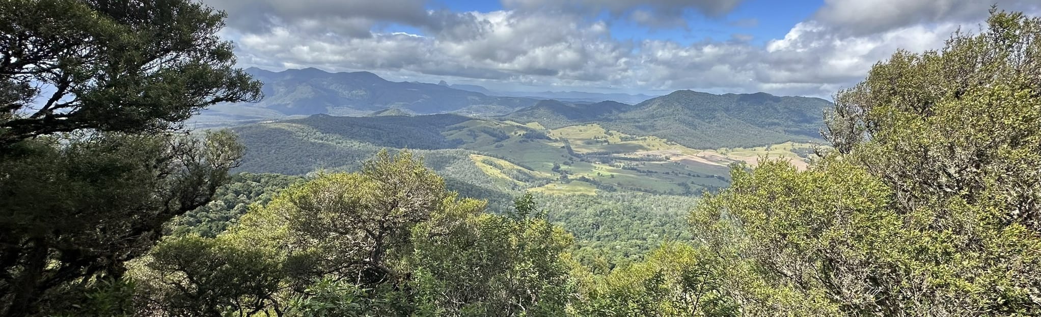 Wilsons Peak West: 14 Reviews, Map - Queensland, Australia | AllTrails