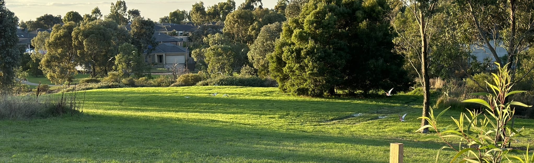 Aitken Creek Trail: 7 foto - Victoria, Australia | AllTrails