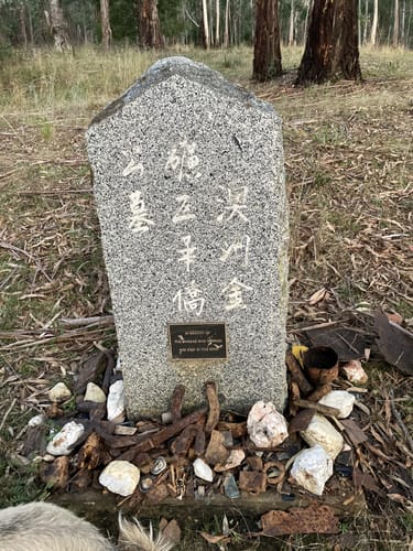 Best Hikes and Trails in Enfield State Park | AllTrails