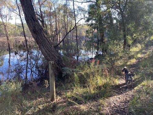 Best Hikes and Trails in Enfield State Park | AllTrails