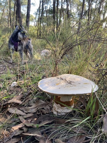 Best Hikes and Trails in Enfield State Park | AllTrails