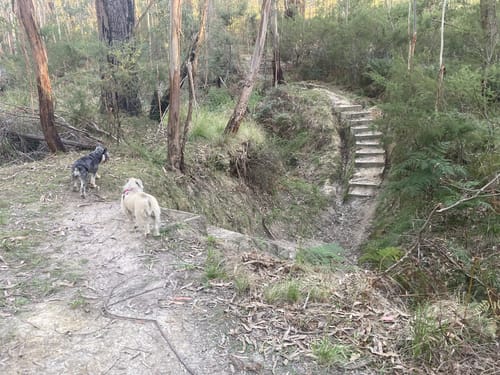 Best Hikes and Trails in Enfield State Park | AllTrails