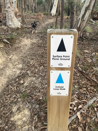 Best Hikes and Trails in Enfield State Park | AllTrails