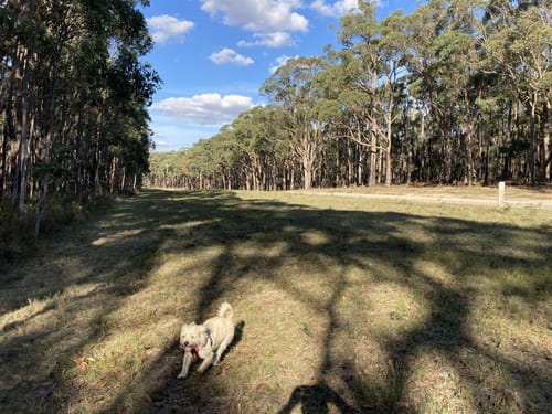 Best Hikes and Trails in Enfield State Park | AllTrails