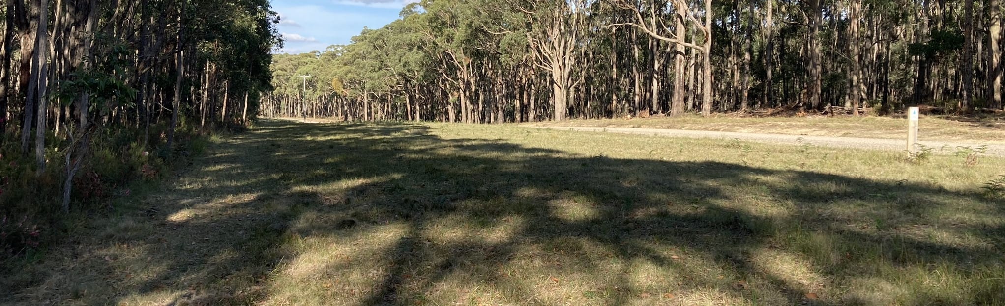 Bald Hills via Forest Park Walking and Long Gulch Loop Track: 23 ...