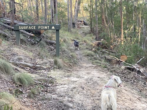 Best Hikes and Trails in Enfield State Park | AllTrails