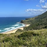 Palm Jungle Loop Track, New South Wales, Australia - 339 Reviews, Map ...