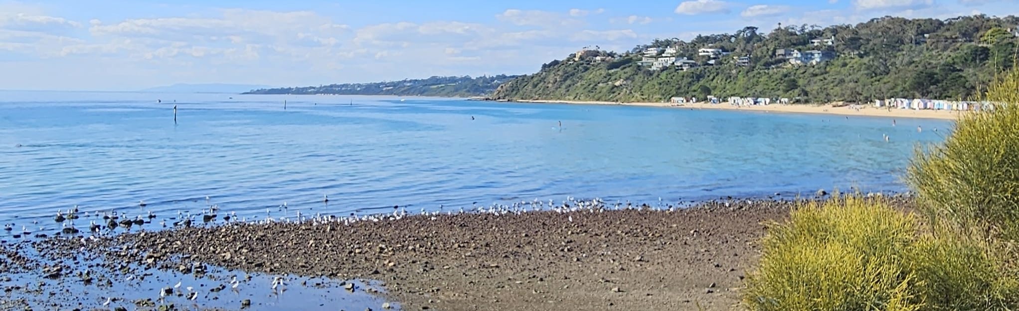 Shire Hall Beach to Beleura Cliff Lookout, Victoria, Australia - 20 ...