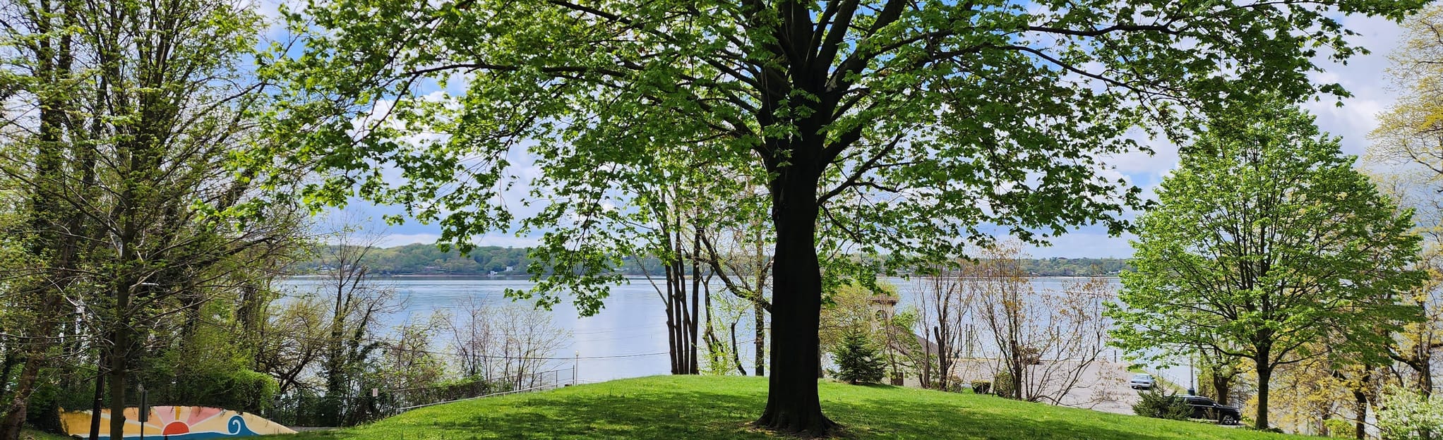 Morgan Memorial Park Loop, New York - 20 Reviews, Map | AllTrails