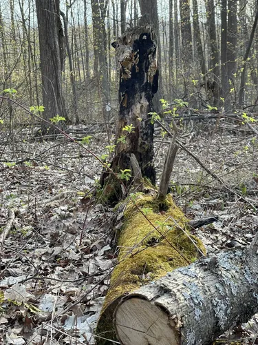 Best Hikes and Trails in Bonds Lake County Park | AllTrails