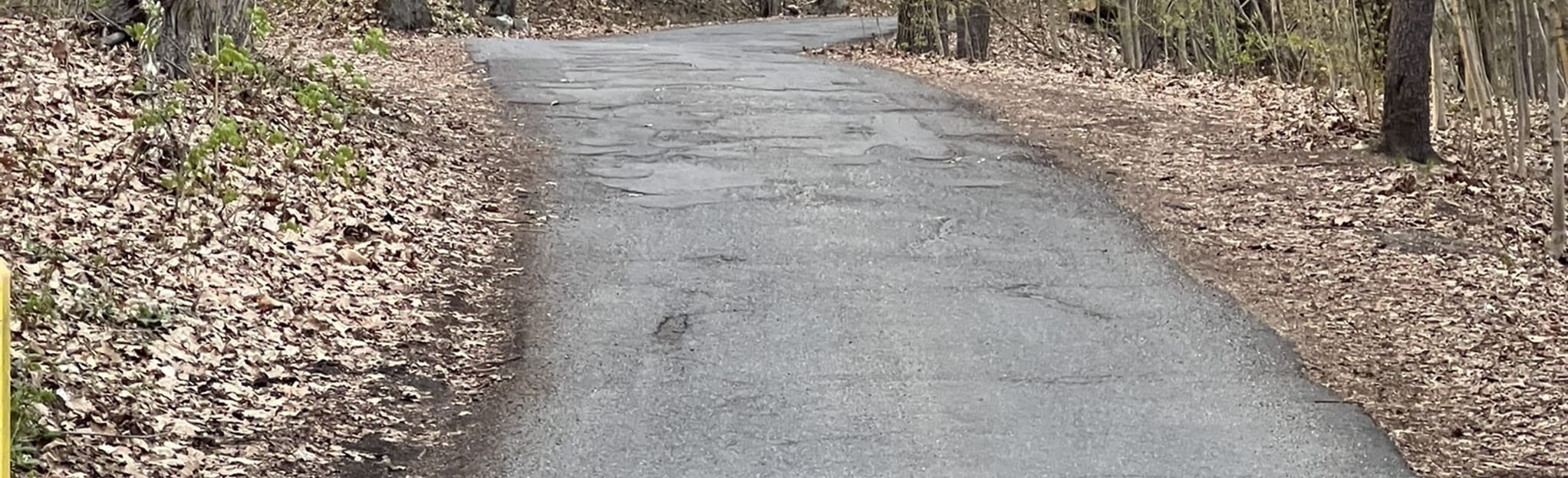 Temple Woods Loop Trail: 84 Reviews, Map - Massachusetts | AllTrails