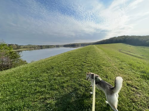 2023 Best Long Trails in Clark State Forest | AllTrails