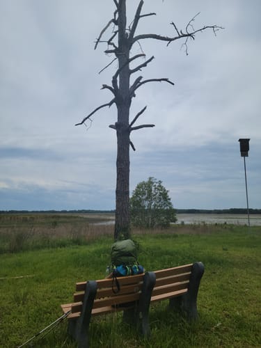 Best Hikes and Trails in Watermelon Pond Wildlife and Environmental ...