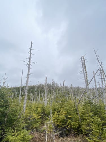 Best Hikes and Trails in Taylor Head Provincial Park | AllTrails