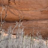 Bullet Canyon Trail to Grand Gulch and Kane Gulch, Utah - 72 Reviews ...