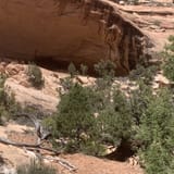 Bullet Canyon Trail to Grand Gulch and Kane Gulch, Utah - 89 Reviews ...
