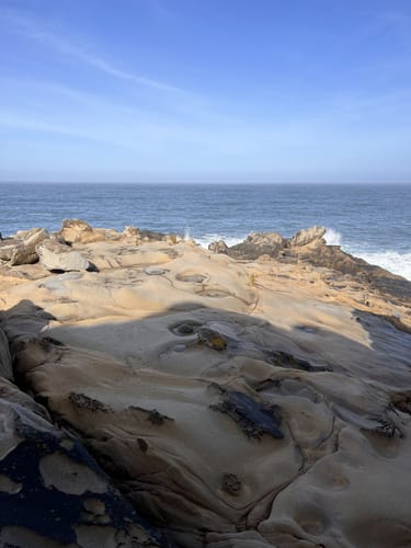 2023 Best Beach Trails in Salt Point State Park | AllTrails