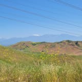 Bane Canyon Short Loop Trail, California - 799 Reviews, Map | AllTrails