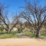 Tom Macmichael Senior Trail, California - 204 Reviews, Map | AllTrails