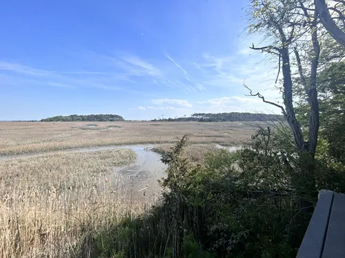 Best Wheelchair Friendly Trails In Cape Charles Alltrails