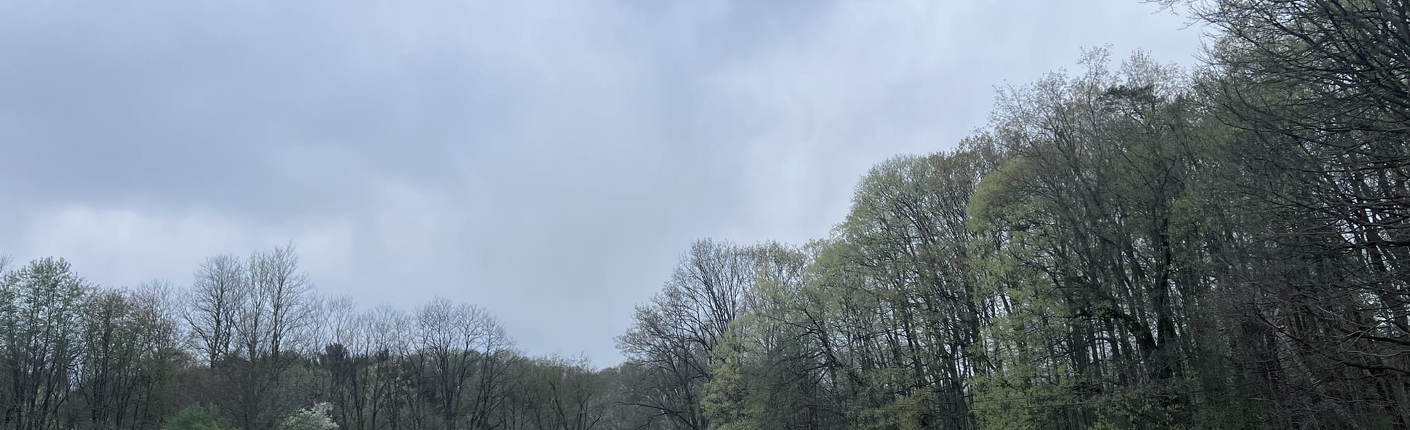 Furnace Run, Ohio - 1,128 Reviews, Map | AllTrails