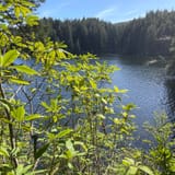 Eel Lake Trail, Oregon - 354 Reviews, Map | AllTrails