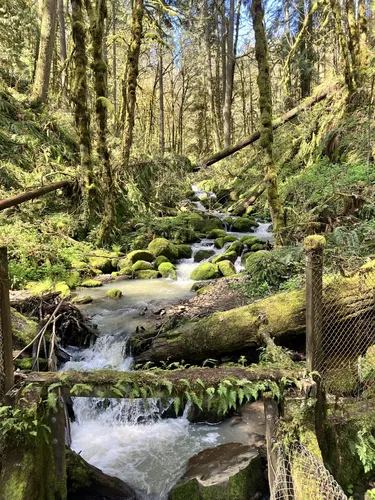 10 Best Trails and Hikes in Portland | AllTrails