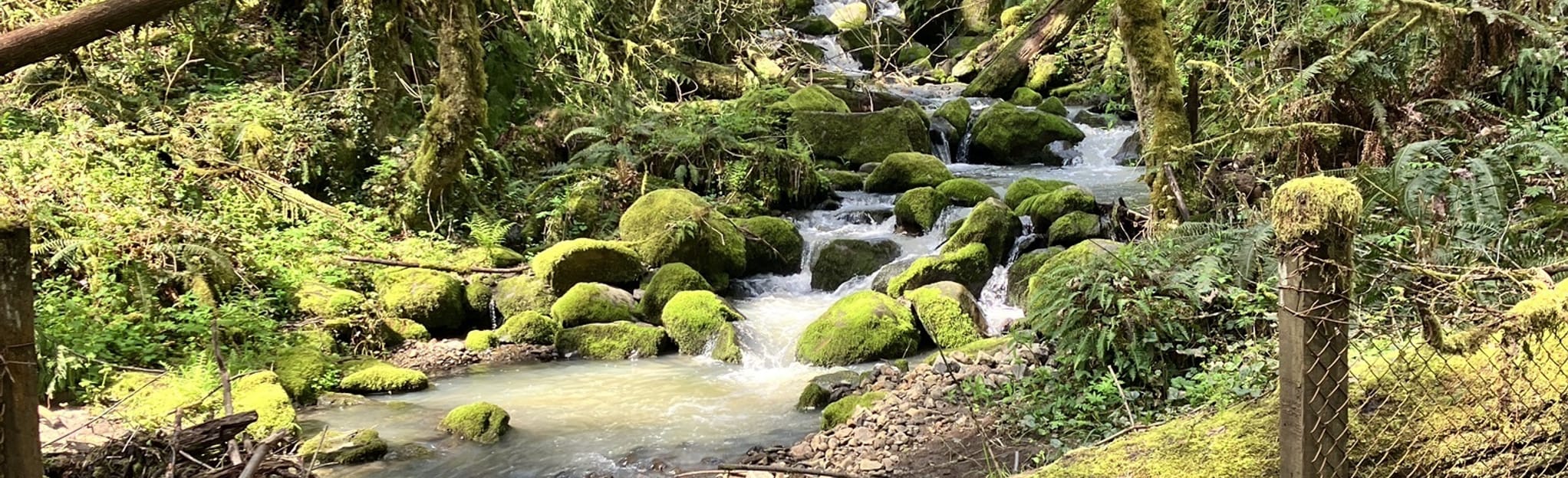 Jay Trail, Oregon - 240 Reviews, Map | AllTrails