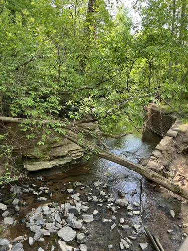 Best Hikes and Trails in Bethabara Park | AllTrails