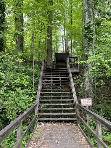 Best Hikes and Trails in Bethabara Park | AllTrails